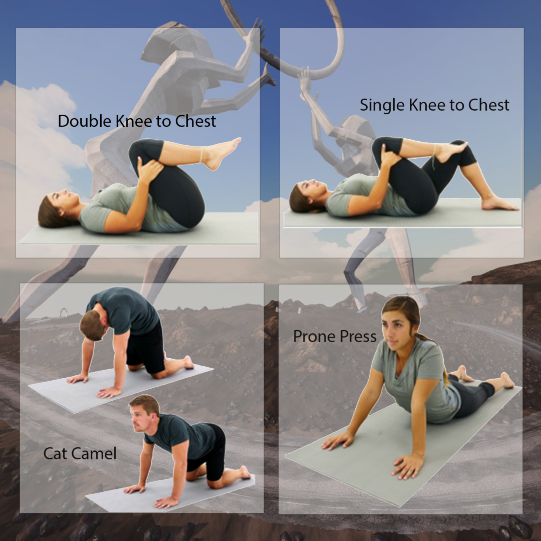 An Active Approach to Cycling Injuries: Lower Back | Zwift Insider