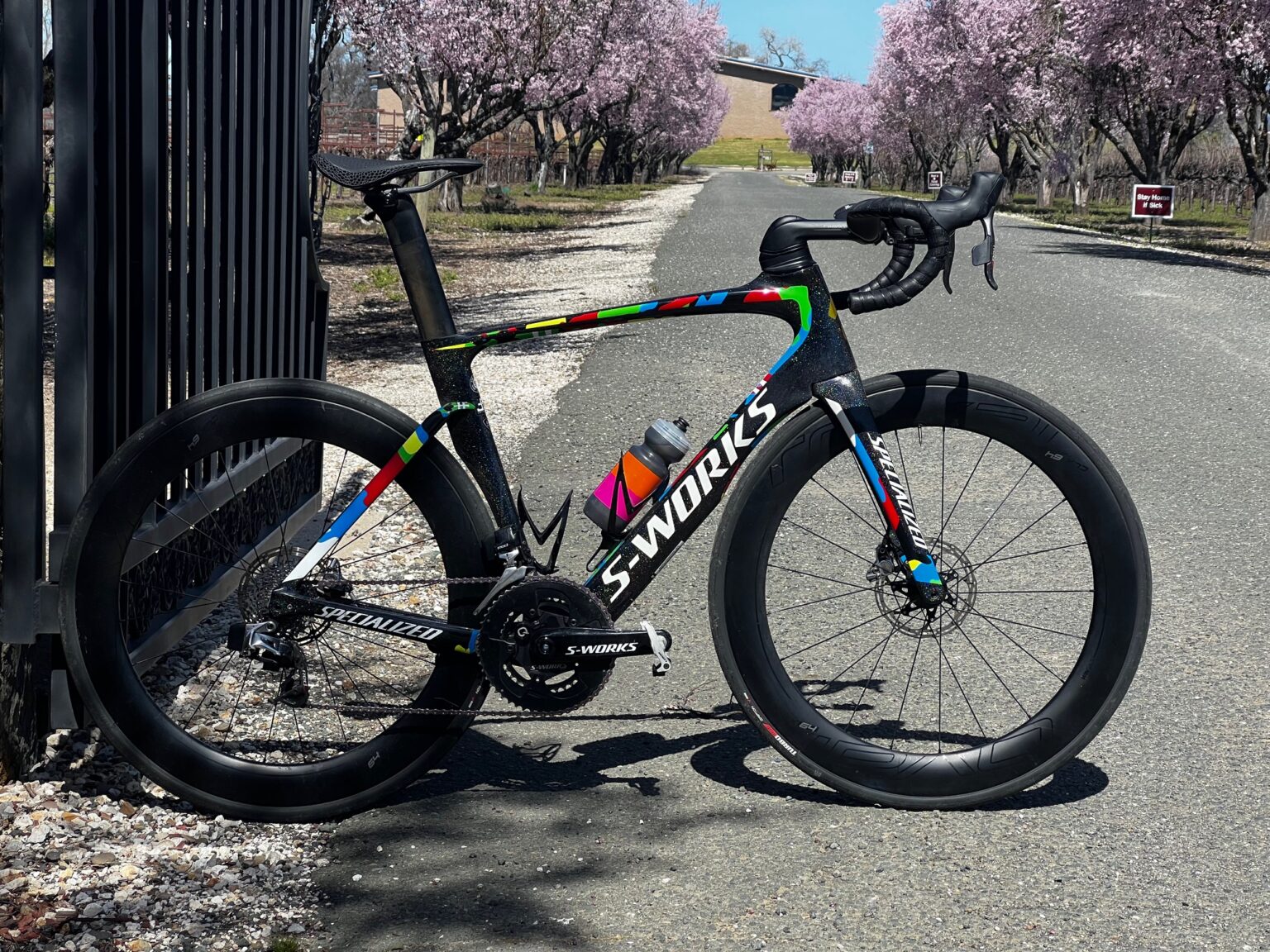 Specialized 3D-Printed Saddle Shootout: Testing the Power Expert, Power ...