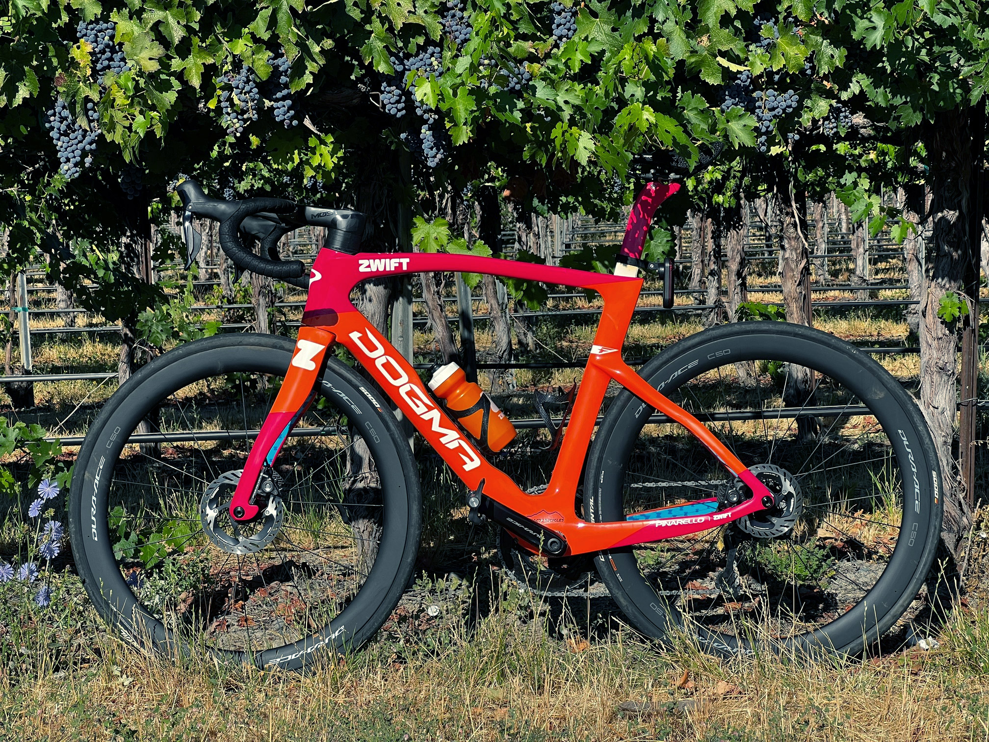 “Pinarello Powered” ZRacing Series Details (September 2024) | Zwift Insider